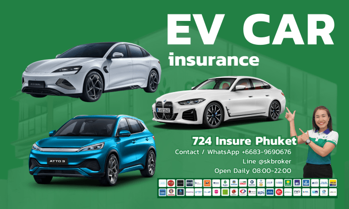 insurance for electric vehicle (EV)